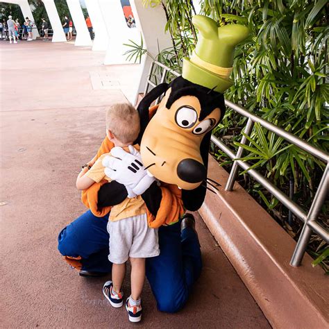 Goofy Disney World Goofy