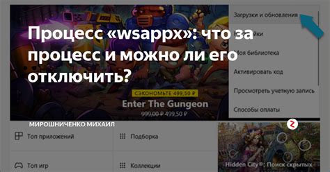 Процесс Wsappx что за процесс и можно ли его отключить Hetman