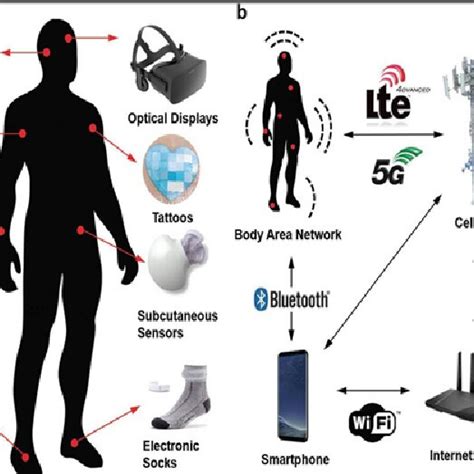 A A Look At The Future Of Personal Wearable Ecosystems B Projection Download Scientific