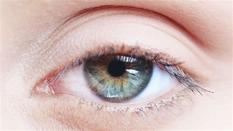 Worms In Humans Eyes