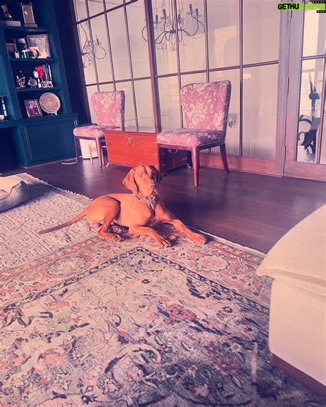 Sagarika Ghatge Gethu Cinema