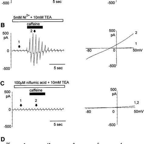 Simultaneous Recording Of Ca 2 I And Whole Cell Cl Ca Current A Download High