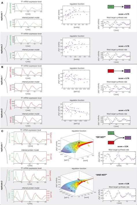Figures And Data In Inference Of Gene Regulation Functions From Dynamic