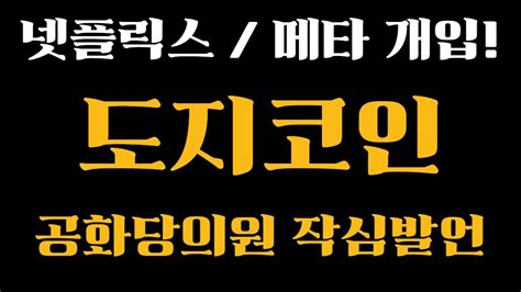 도지코인 신규속보 넷플릭스메타 개입 공화당의원까지 작심발언 이영상반드시보셔야합니다 도지코인 얼마까지 상승하나 도지코인목표가 도지코인전망 도지코인