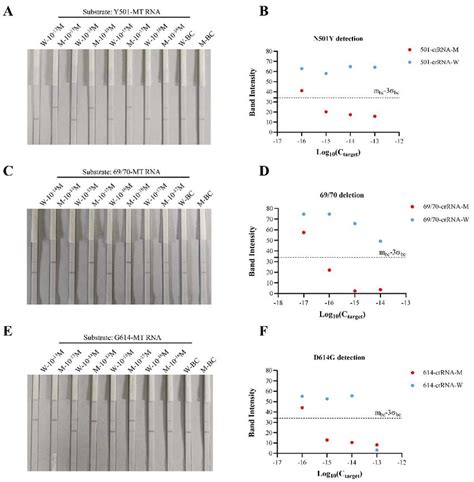 Sensitivity Of Sas Cov 2 Mutant Na Identification Using The T Cods