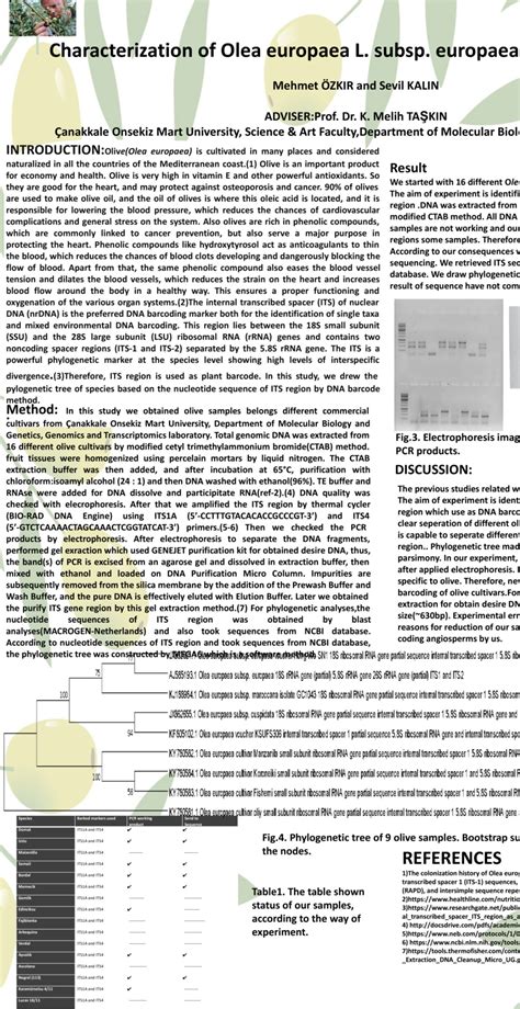 Electrophoresis Image Of Gel Extraction Download Scientific Diagram
