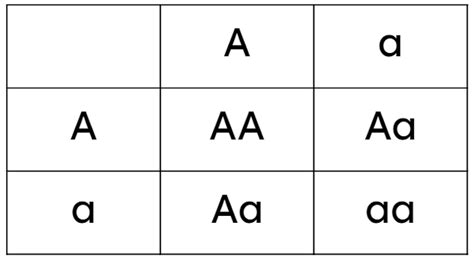 Lesson The Inheritance Of Biological Sex And Sex Linked Genetic Disorders Higher Edexcel