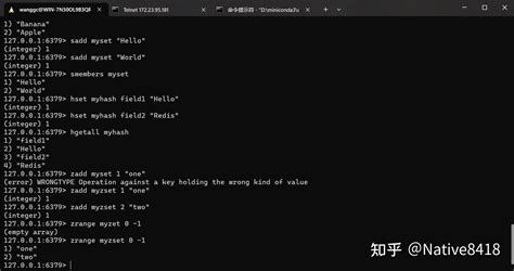 一小时实践入门 redis 知乎