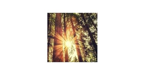 Tate Guice Jr Obituary 2023 Fairfield Ca Fairfield Funeral Home
