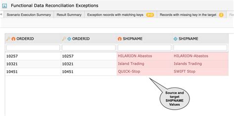 Understanding Functional Data Reconciliation Results Report Rightdata