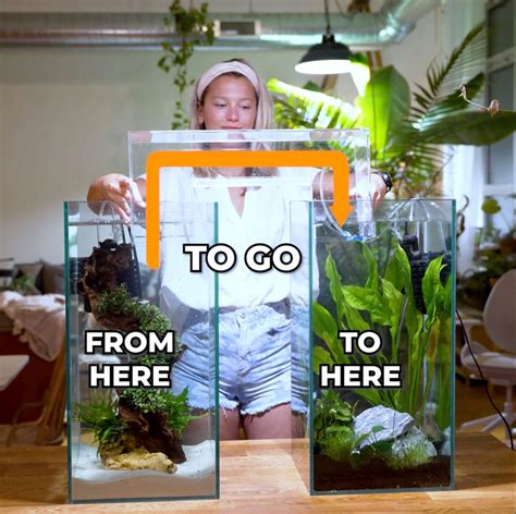 The Fish Bridge Etsy