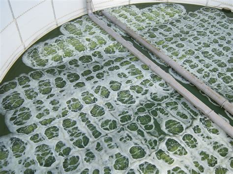 Edi Flexair Pro Diffusers Fine Bubble Diffuser Systems