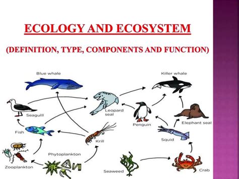 Some Major Ecosystem Pdf Geography Science