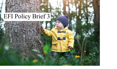 How To Govern Europes Forests For Multiple Forest Ecosystem Services Nobel Payments For