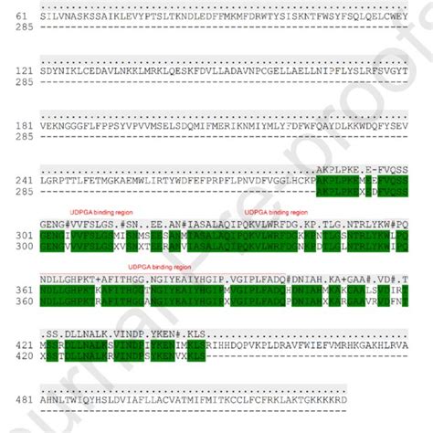 Multiple Sequence Alignment Of Several Homologous Ugts And The Chosen