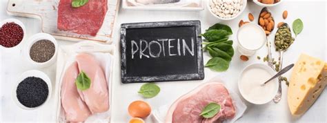 Chrononutrition The Use Of Proteins As A Morning Elixir For Muscle