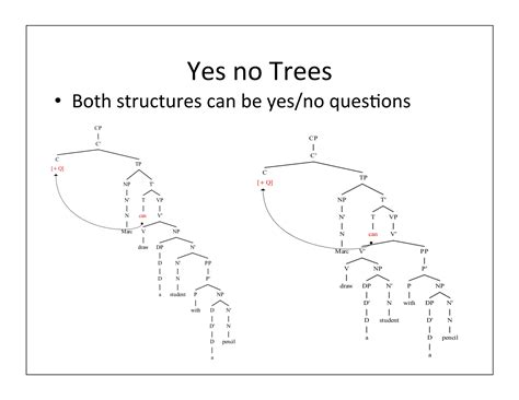 Syntaxpracticepptpdf Pdf