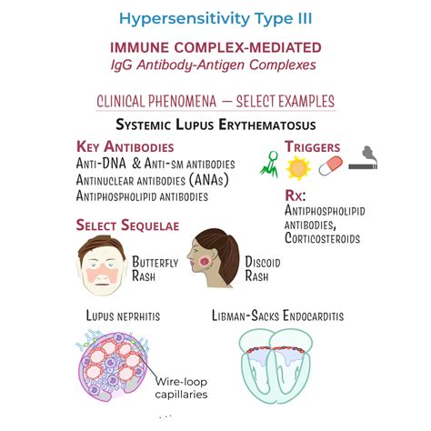 Clinical Pathology Glossary Hypersensitivity Type Iii Ditki Medical