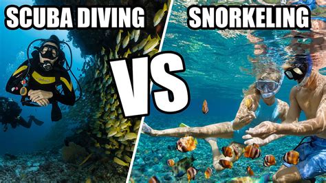 Snorkeling Vs Scuba Diving Key Differences Costs And Experience Guide