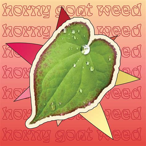 Supermush Daily Passion Mushroom Gummies To Boost Energy