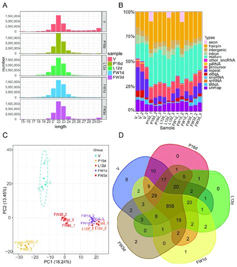 Overview Of The Small Rna Sequencing Data A Distribution Of Total