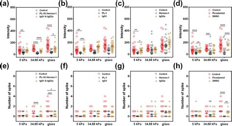 Selectin Induced B 2 Integrin Activation Via The Syk Signaling Pathway