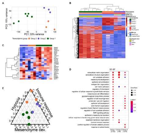 Transcriptomic Analysis Segregates Invasive Organoids Into 3 Distinct