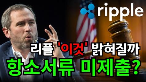 리플 도대체 뭘 숨기고 있었던거야 그래서 팔아 버텨 Youtube