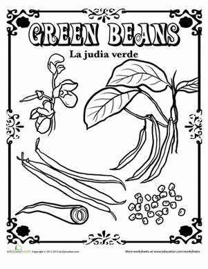 Green Bean Coloring Page
