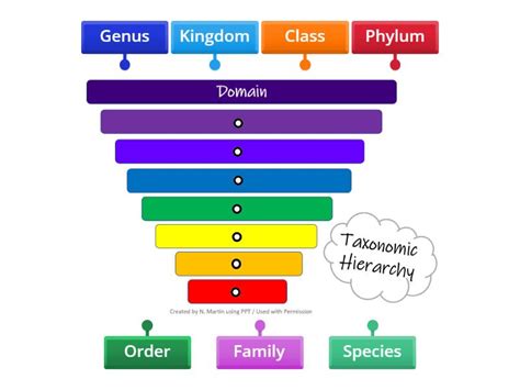 Taxonomic Hierarchy Labeling Labelled Diagram