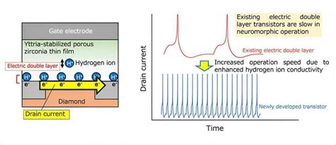 Research Team Develops The Fastest Neuromorphic Electric Double Layer