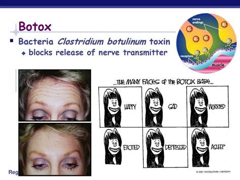 Aim Locomotion Ppt Download