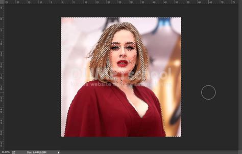 Membuat Custom Shape Tool Berbentuk Adele Di Adobe Photoshop Part 2
