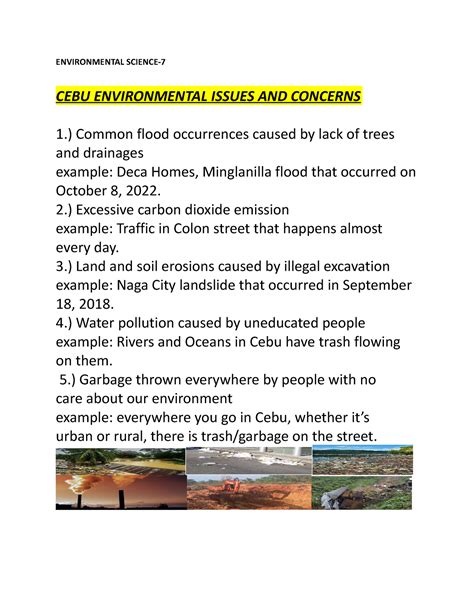 Cebu Environmental Issues And Concerns Environmental Science Cebu