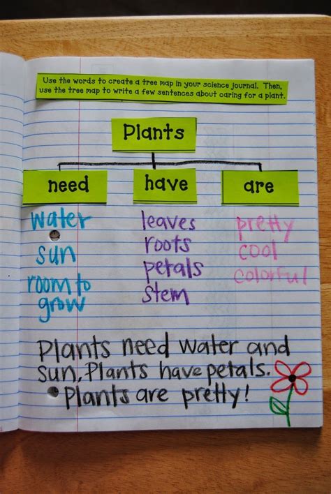 Grade 3 Science In 2025 Science Activities Grade 3 Science Science