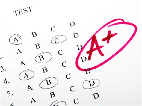 Can You Pass A 5th Grade English Grammar Test Artofit