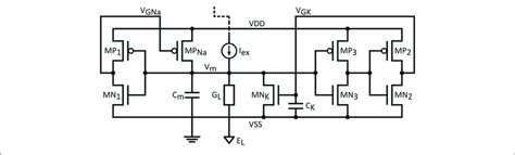 Proposed Biomimetic Artificial Neuron Circuit Based On The Ml Model Download Scientific Diagram
