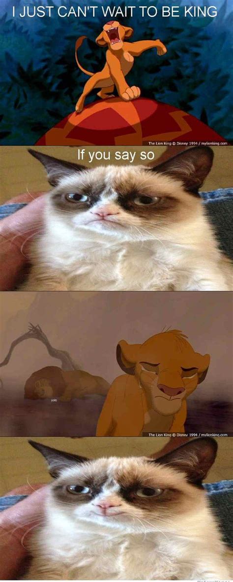 Angry Cat Meme Lion King