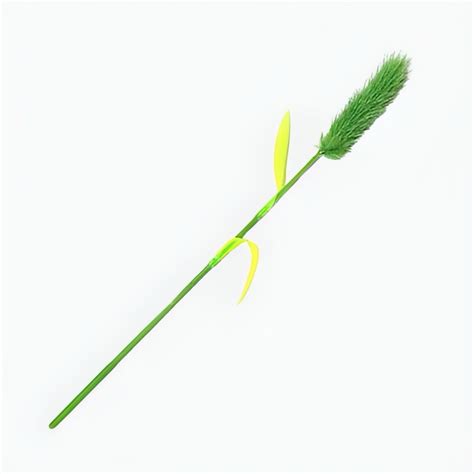 펫모닝 강아지풀 1p 배민 장보기∙쇼핑