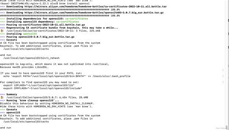 Mac Os Nginx Success