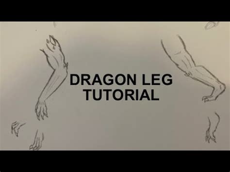 How To Draw Dragon Front And Back Legs With Muscles Youtube