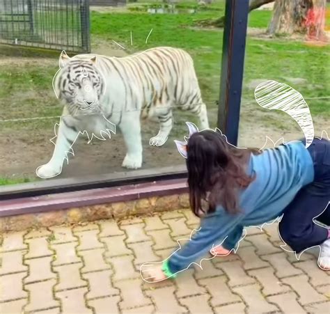 Best 11 Therian Artofit