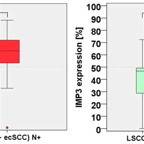 Left Side Imp3 Expression Correlates Positively With Nodal Status Download Scientific Diagram