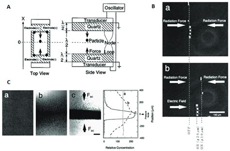 Acoustic Microparticle Concentration In Rectangular Cross Section Glass