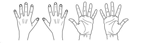 Back Of Left Hand Drawing