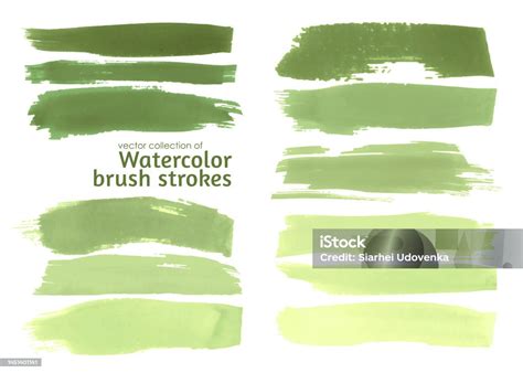 녹색이 페인트를 칠합니다 색상 스플래시 요소 격리 된 더러운 튄 자국 잉크 그린 스프레이 세트 추상적 인 페인트가 번지다 0명에 대한 스톡 벡터 아트 및 기타 이미지