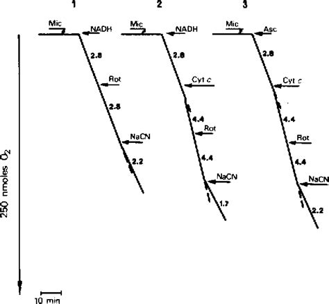 Figure 1 From Electron Transfer In Mitochondrial And Microsomal Systems