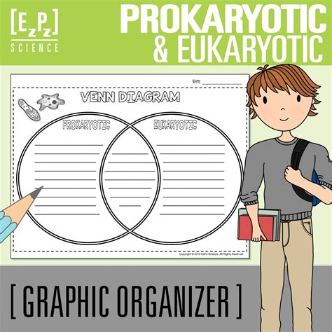 Prokaryotic And Eukaryotic Cells Venn Diagram