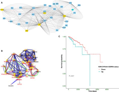 Interactome Analysis And Survival In The Tcga Dataset A Biogrid Download Scientific Diagram