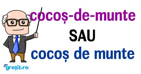 Cocoș De Munte Sau Cocoș De Munte Cum Este Corect